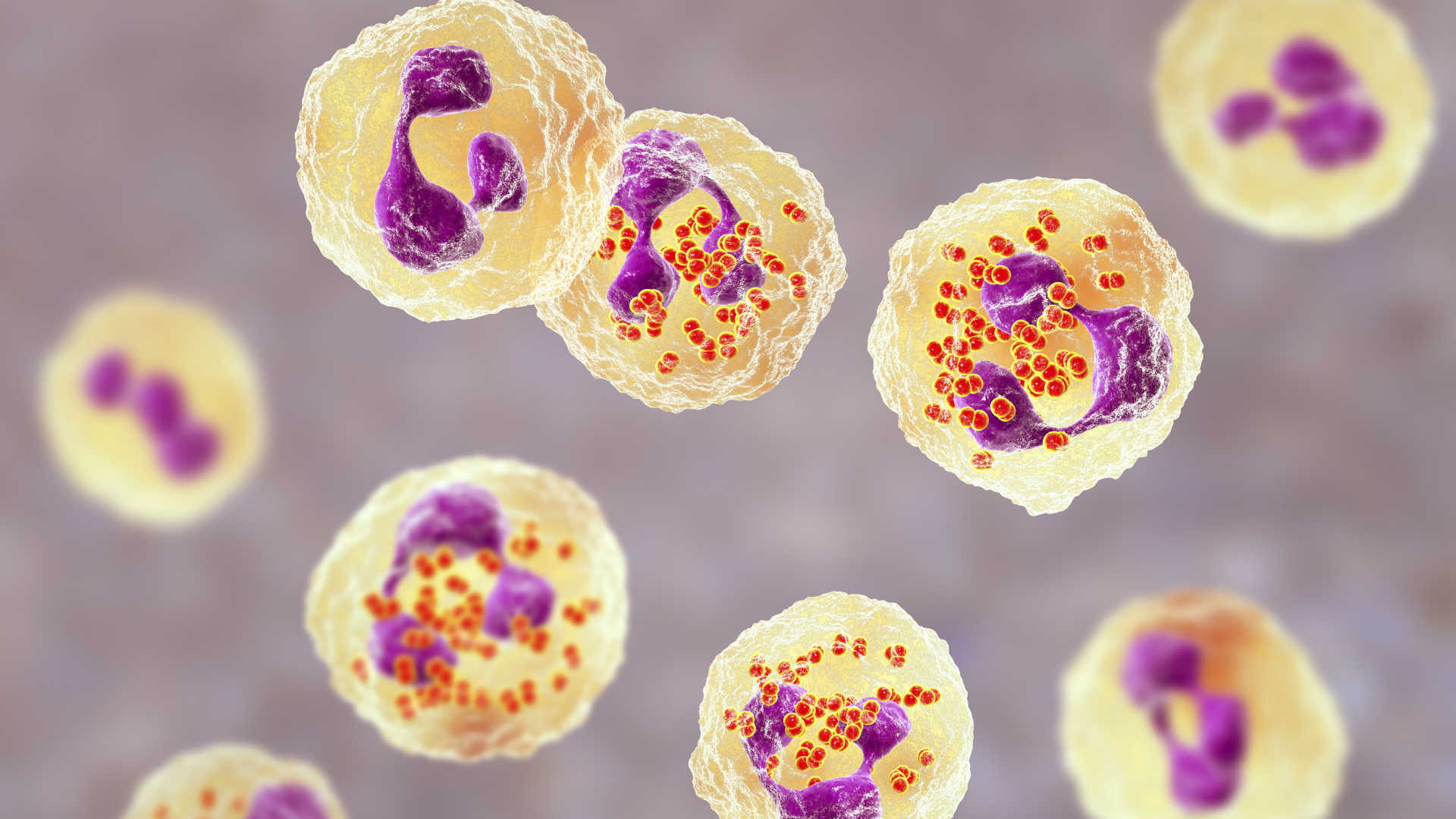 O canabidiol pode ajudar pacientes com gonorreia? - Cannalize