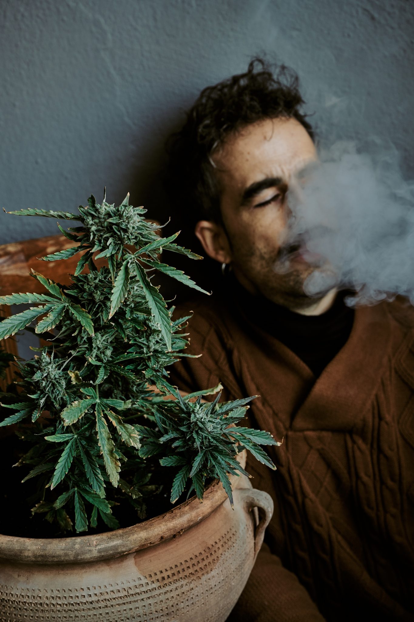 Cannabis ou maconha? Descubra as diferenças reais - Cannalize